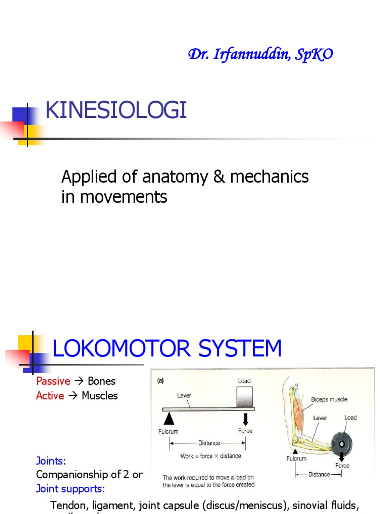Kinesiologi: Dr. Irfannuddin, Spko | PDF | Knee | Muscle Contraction
