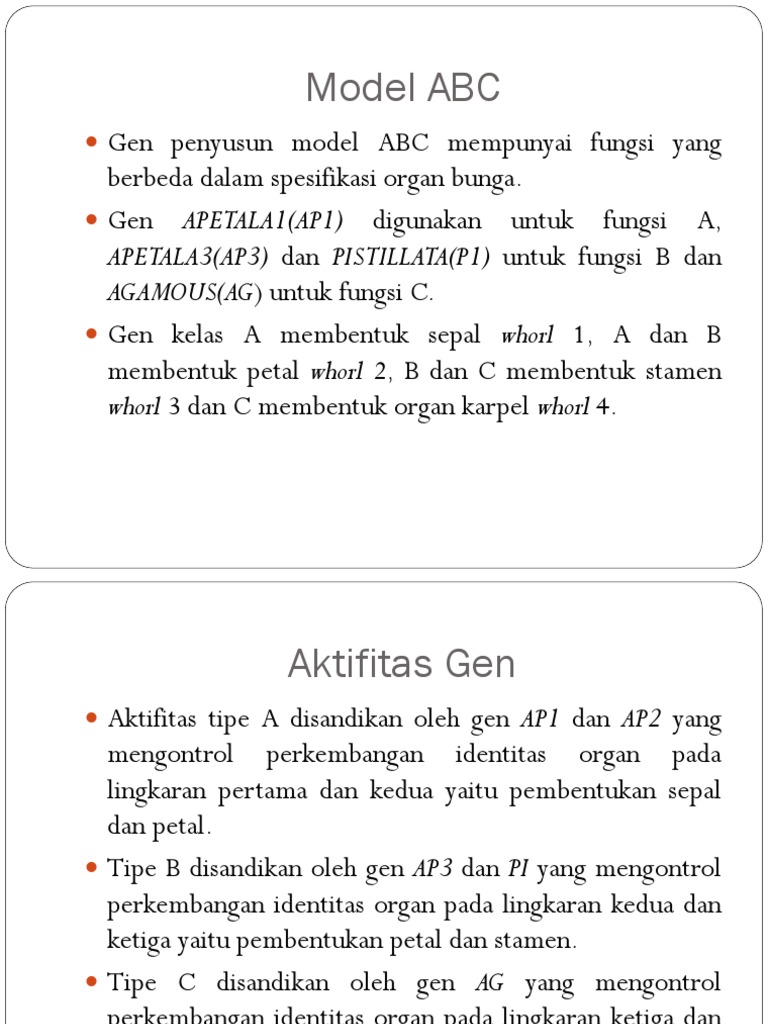 Modifikasi Model ABC pada Bunga Tulip dan Lily | PDF