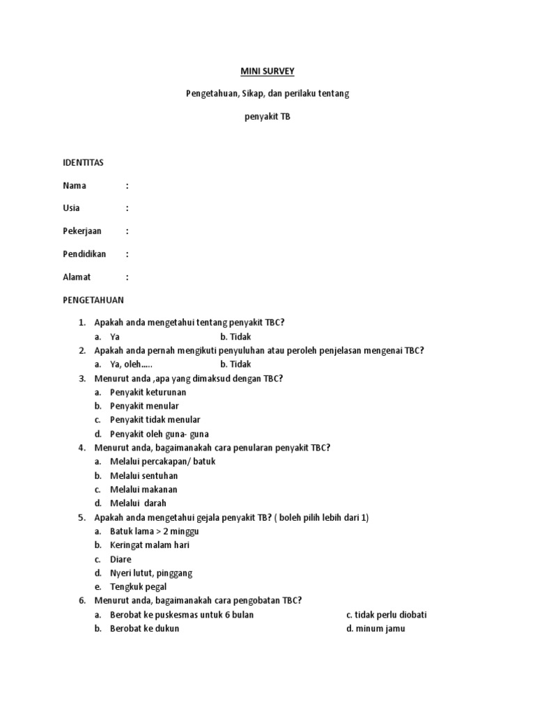 Mini Survey | PDF
