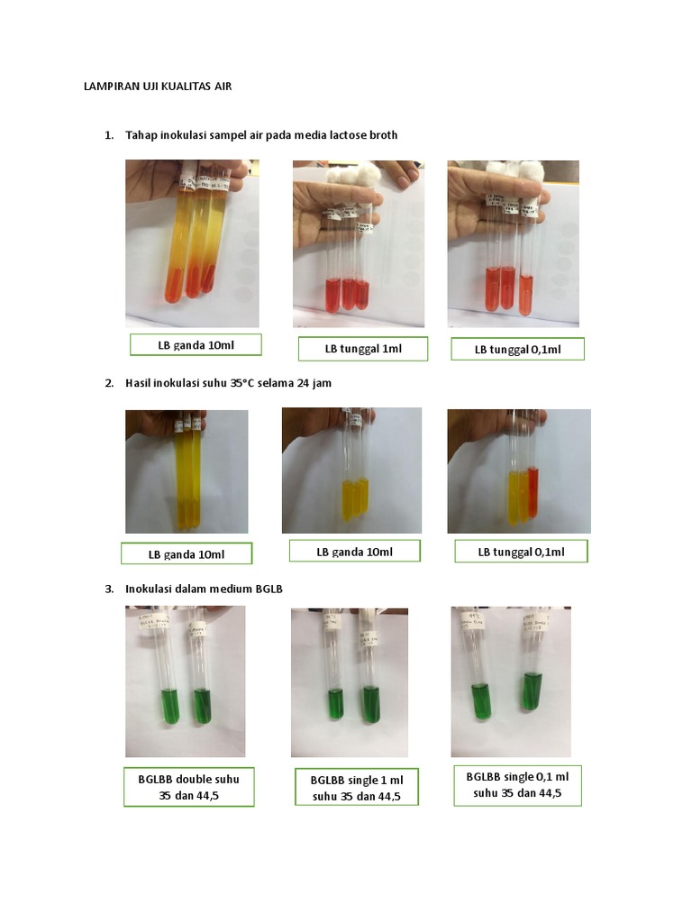 Uji Kualitas Air dengan Media BGLB | PDF | Sains & Matematika