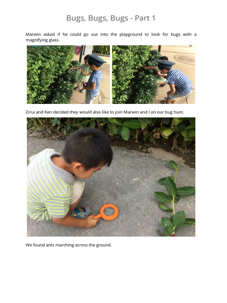 01 Bugs Bugs Bugs - Part 1 | PDF
