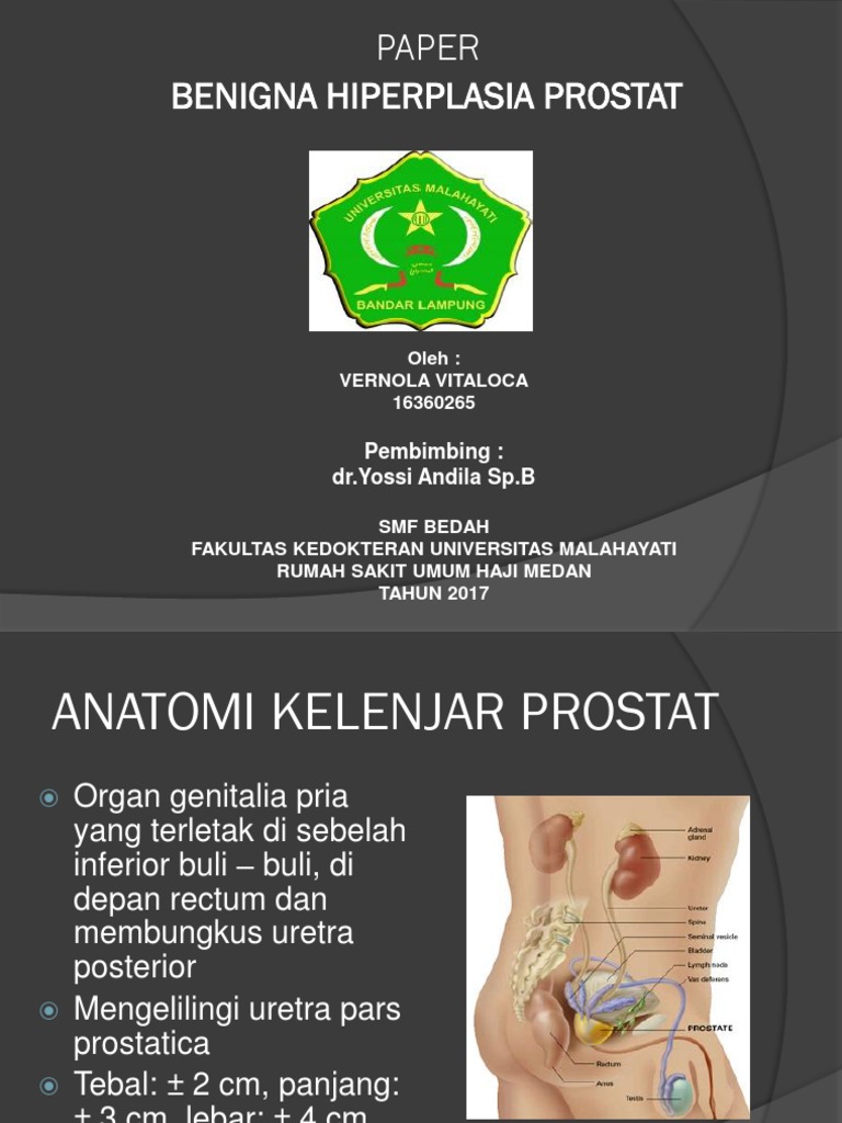 BPH | PDF