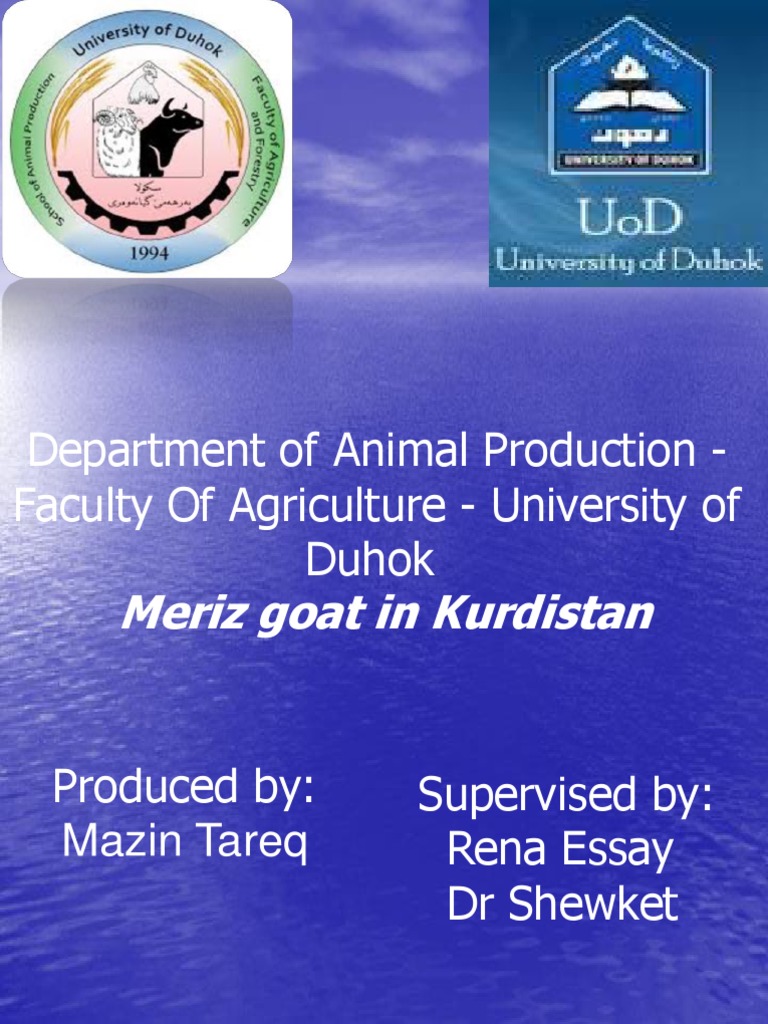 Meriz Goat in Kurdistan: Department of Animal Production - Faculty of ...