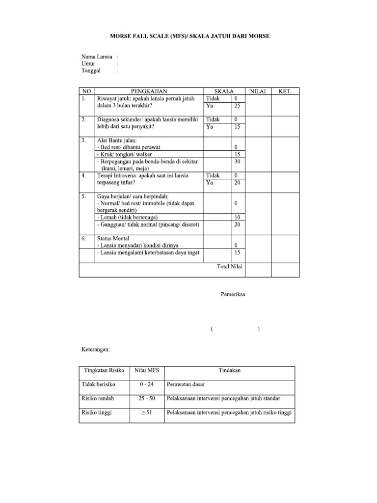 Format Morse Fall Scale | PDF