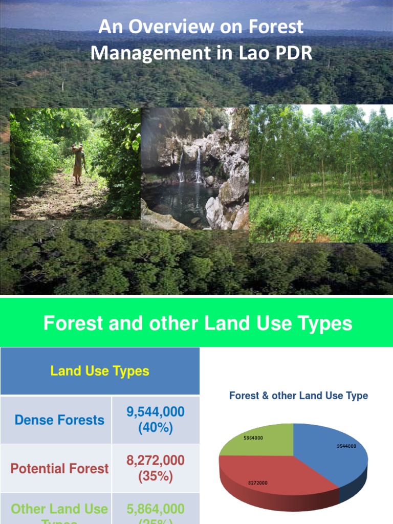 Lao Forest Management | PDF | Reducing Emissions From Deforestation And ...