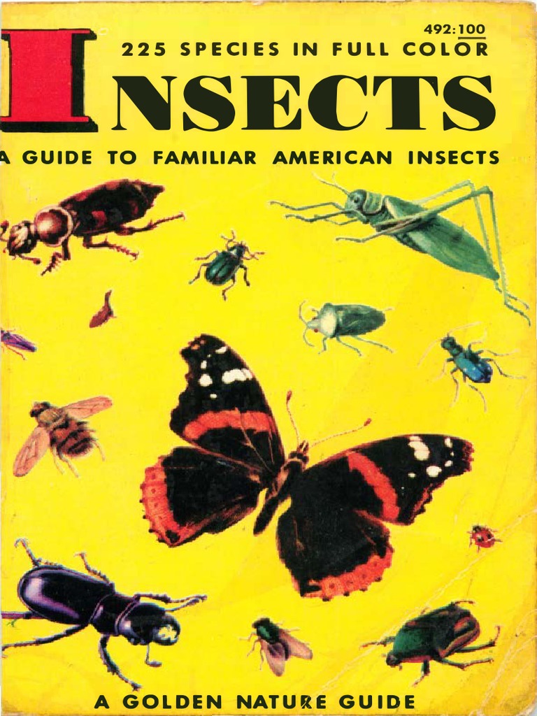 Insects PDF | PDF