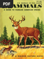 Rodent Skull Identification Guide | PDF | Tooth | Rodent