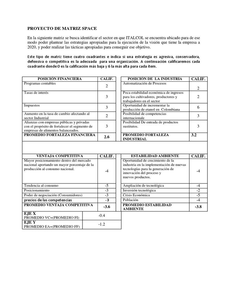Proyecto de Matriz Space | PDF | Matriz (Matemáticas) | Ventaja competitiva