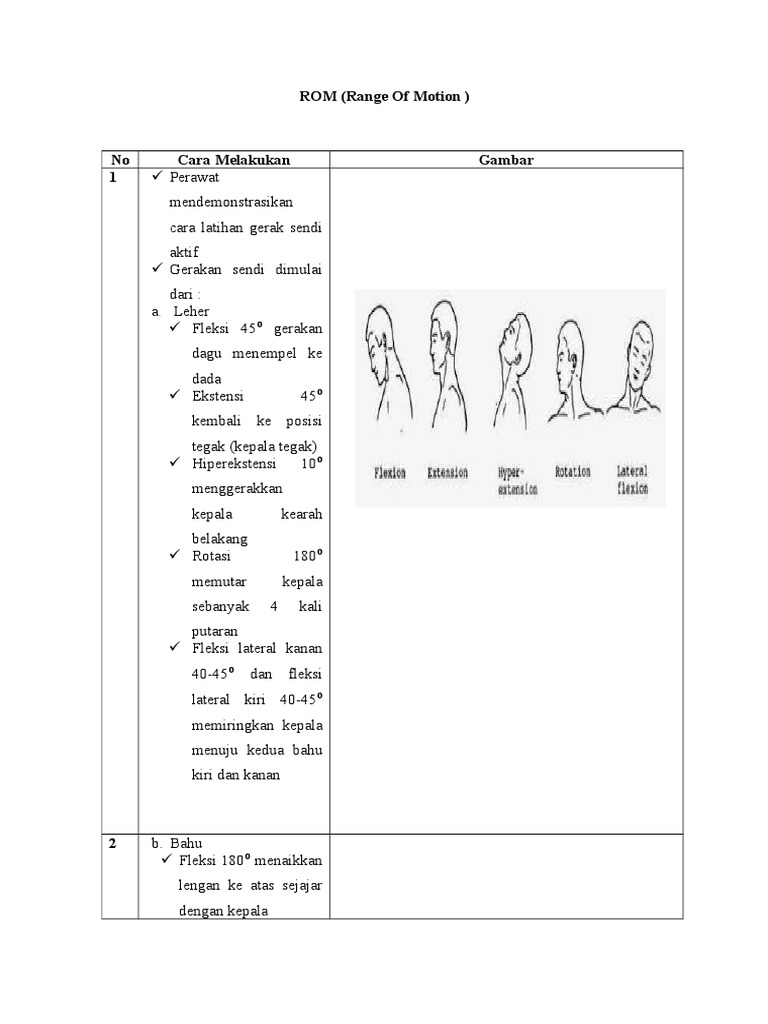 ROM (Range of Motion) | PDF