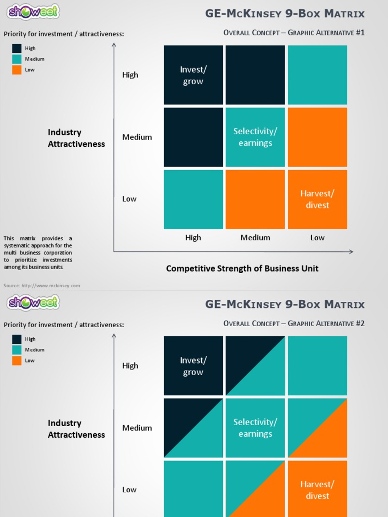 GE McKinsey Matrix PowerPoint | License | Business