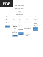 Pathway Selulitis Ajeng | PDF
