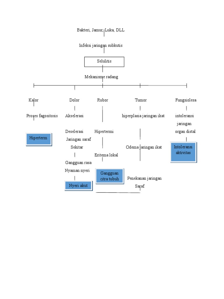 Pathway Selulitis | PDF