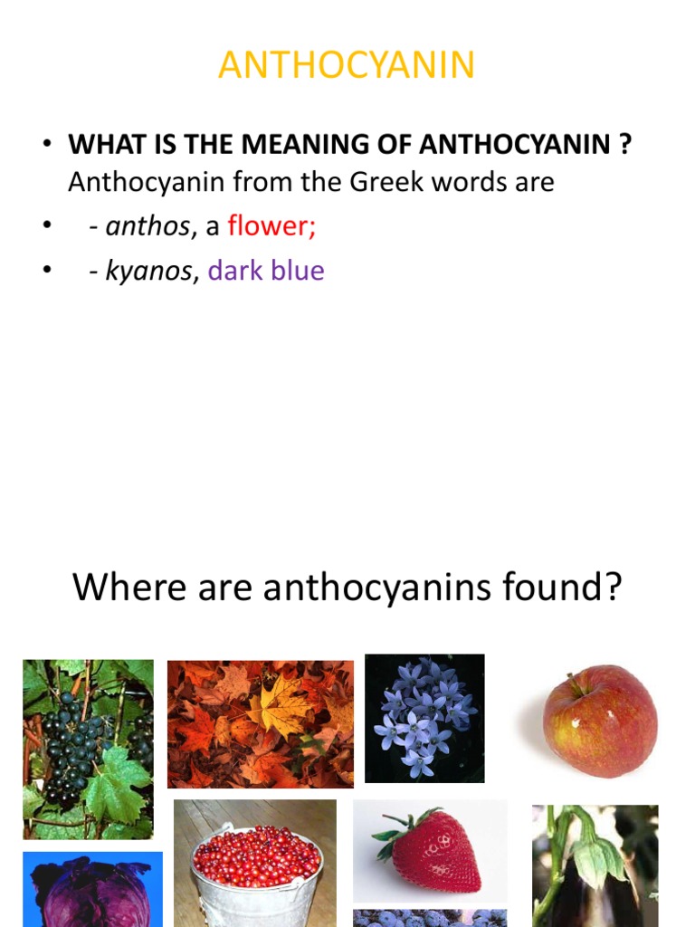 Anthocyanin Power Point | Science | Physiology
