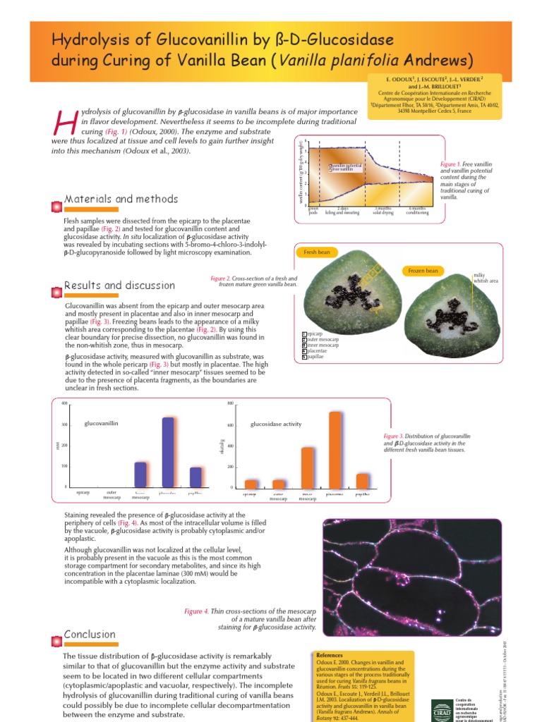 Curing | PDF | Vanilla | Science