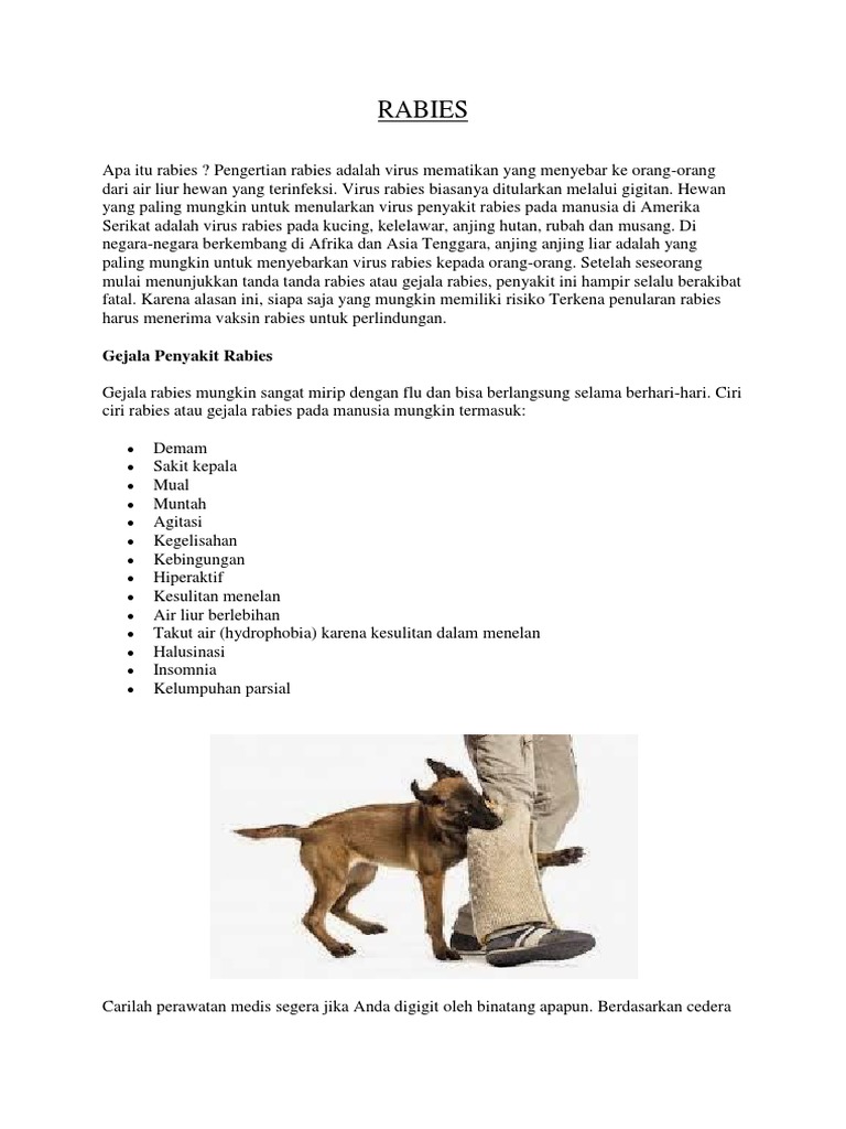 Apa Itu Rabies | PDF