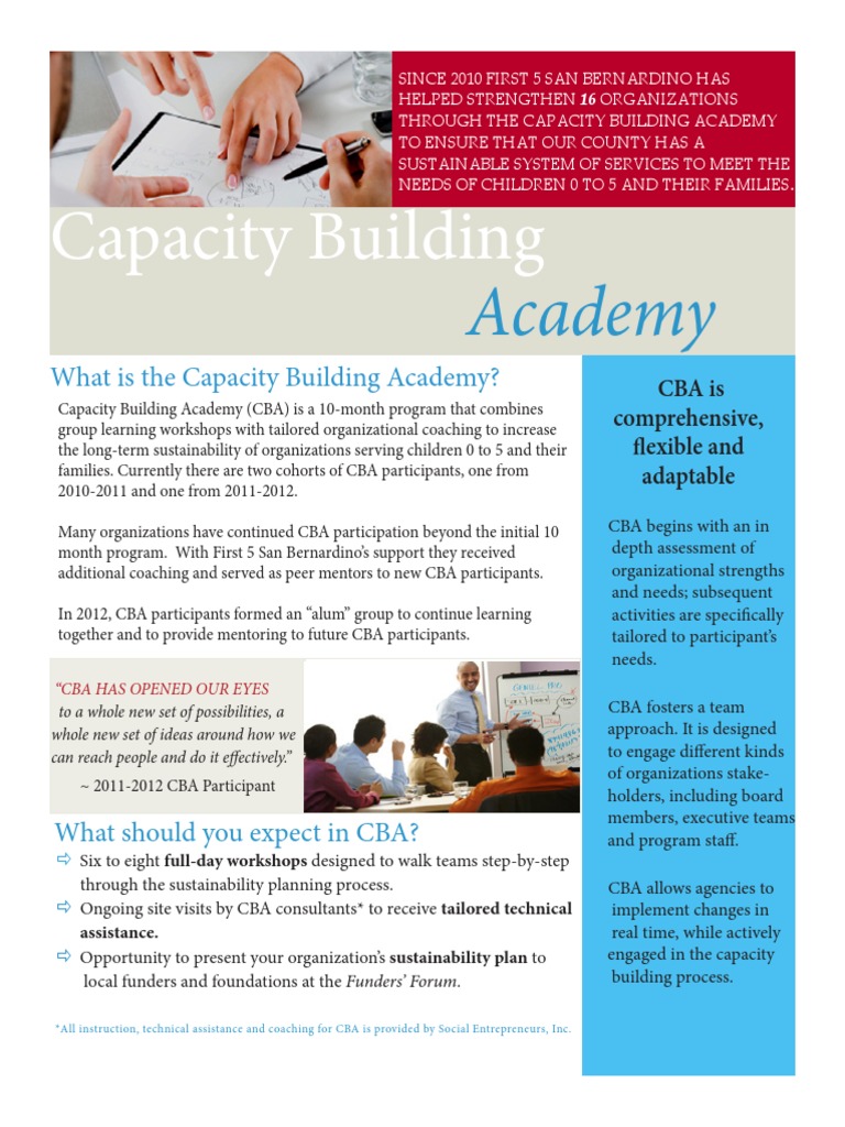 Capacity Building Academy | PDF | Capacity Building | Mentorship
