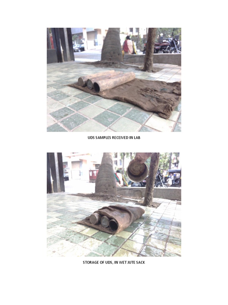 Uds Samples Received in Lab | PDF