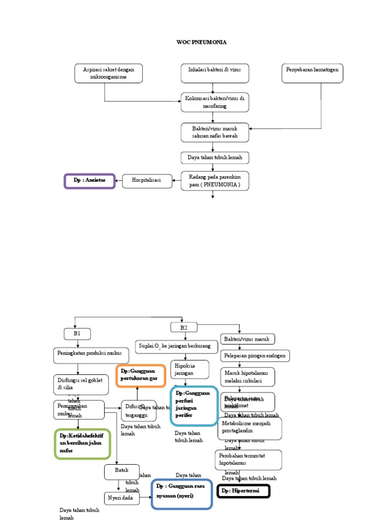 Pathway Bronkopneumonia pada Anak | PDF