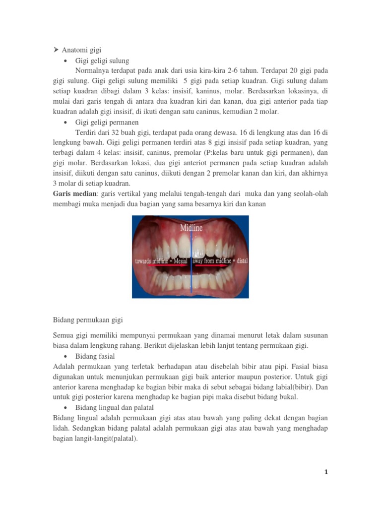 Embrasure | PDF | Kesehatan Holistik