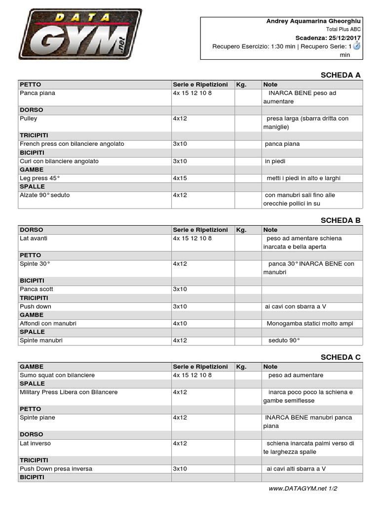 Scheda Palestra | PDF