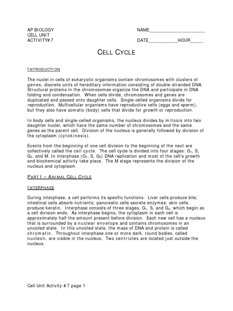 Understanding the Stages of the Cell Cycle Through Microscopic ...