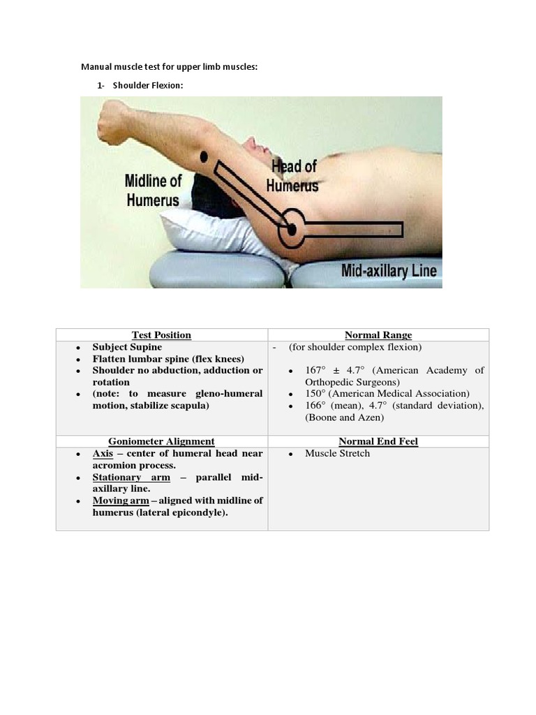Manual Muscle Test For Upper Limb Muscles | PDF | Anatomical Terms Of ...