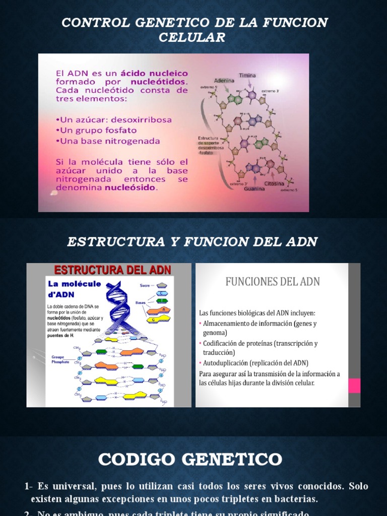 Control Genetico de La Funcion Celular | PDF