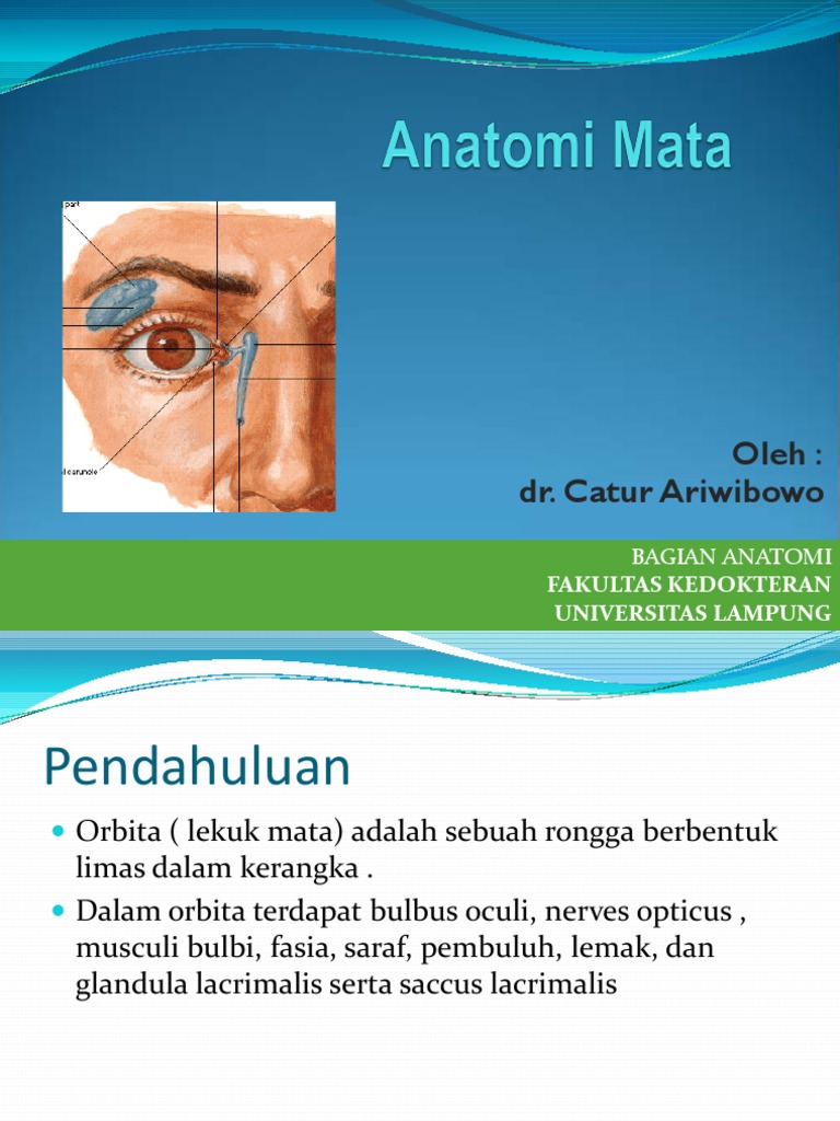 Anatomi Mata.pdf
