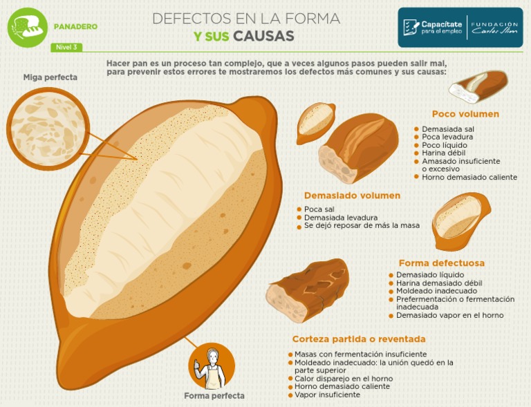 Defectos Pan | PDF | Comidas fermentadas | Panes