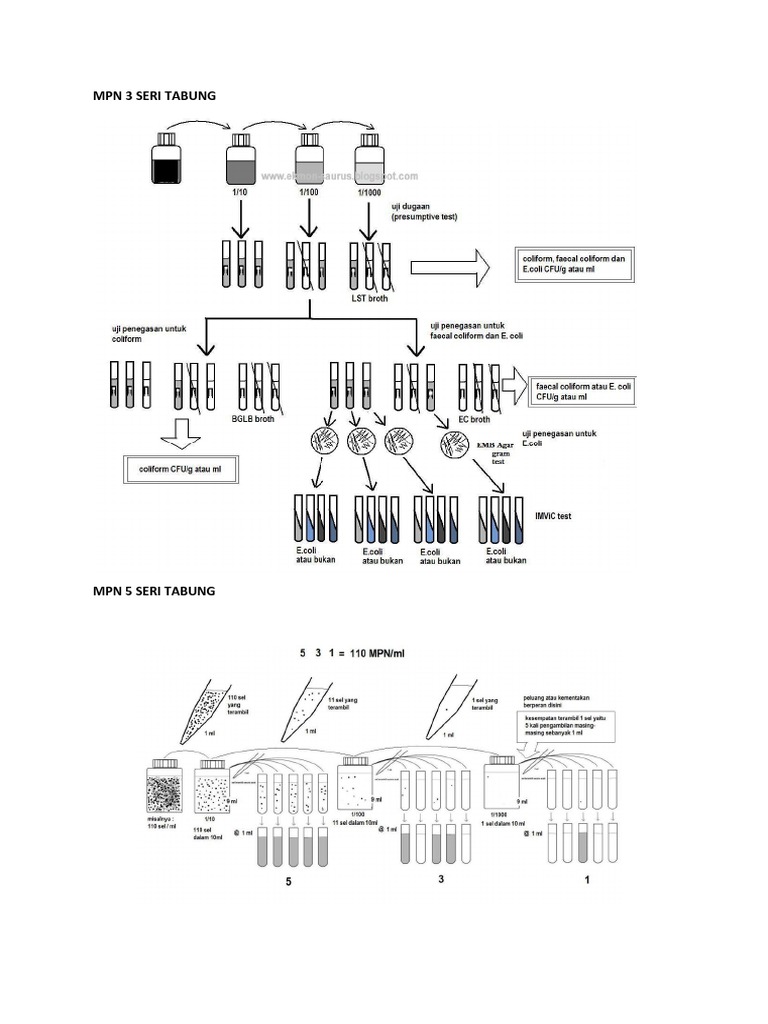MPN Seri Tabung: Panduan Tabel | PDF