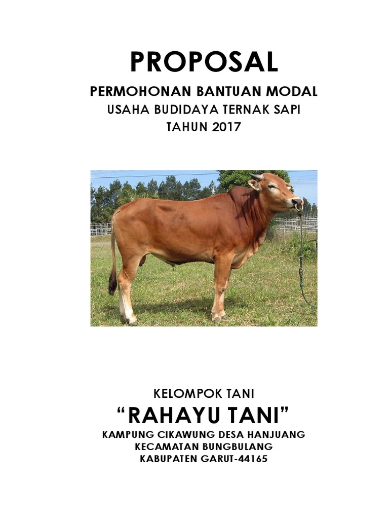 Proposal Sapi | PDF