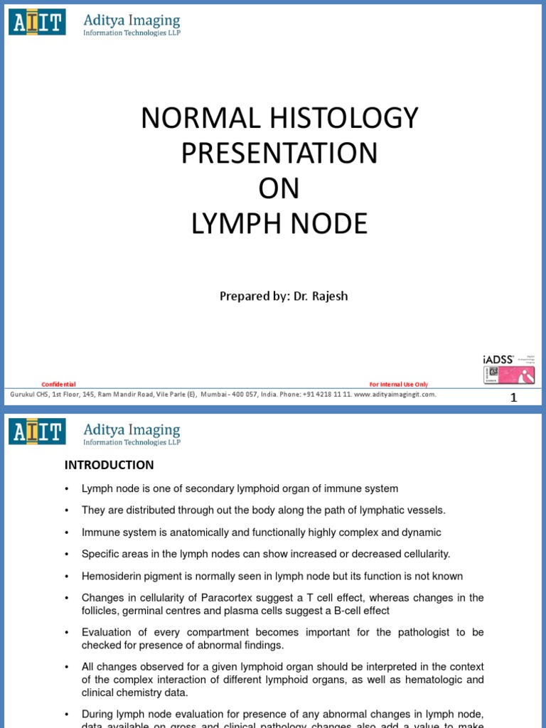 Normal Histology Presentation ON Lymph Node: Prepared By: Dr. Rajesh ...