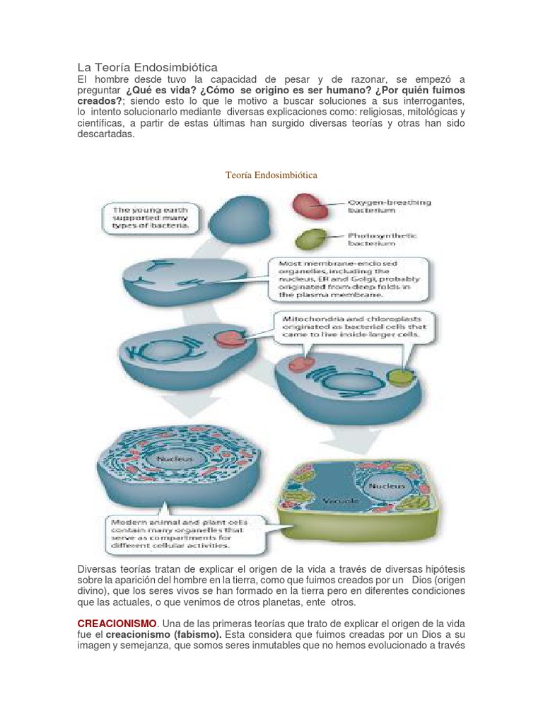 La Teoría Endosimbiótica | Cloroplasto | Simbiosis