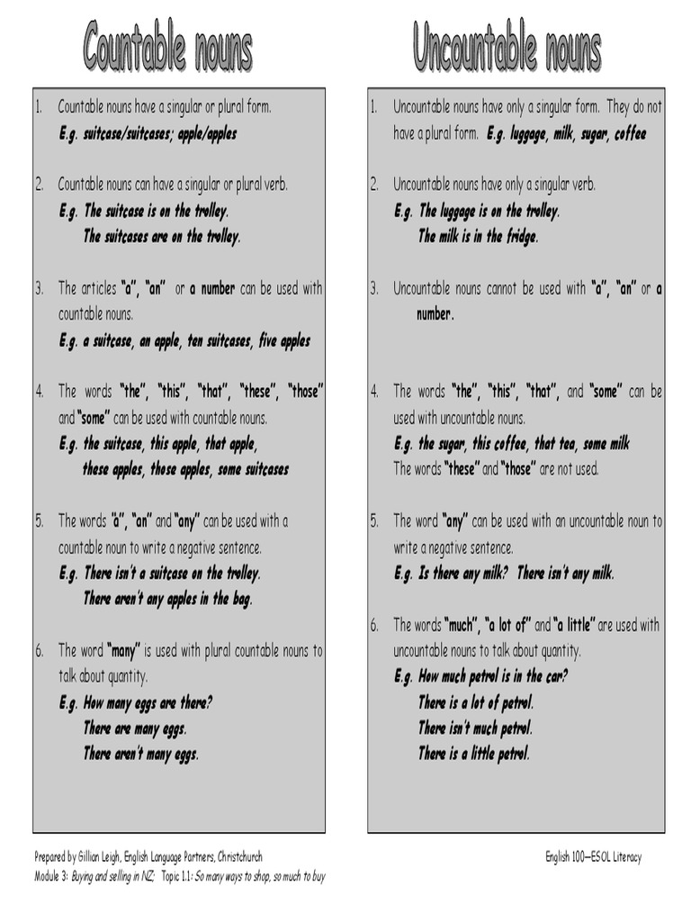 Countable vs Uncountable Nouns Guide | PDF | Grammatical Number | Plural