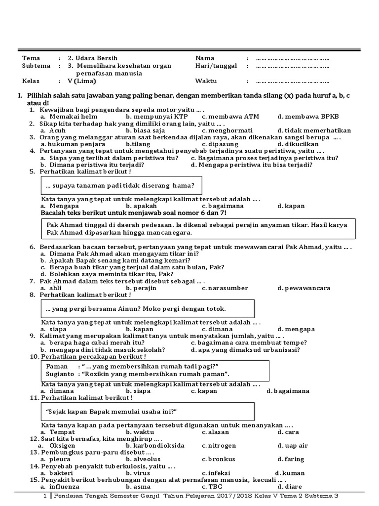 Pts 1 Tema 2 St.3 | PDF
