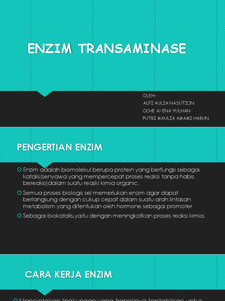 Enzim Transaminase | PDF