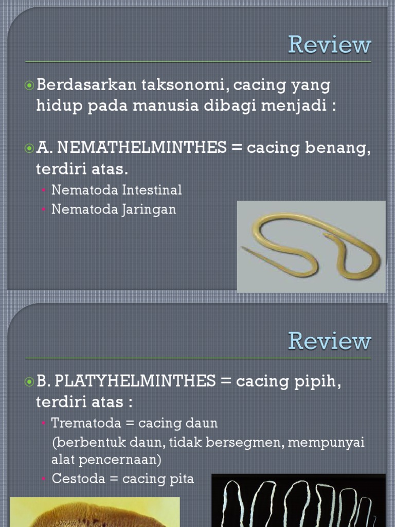 Cestoda | PDF | Griya & Taman