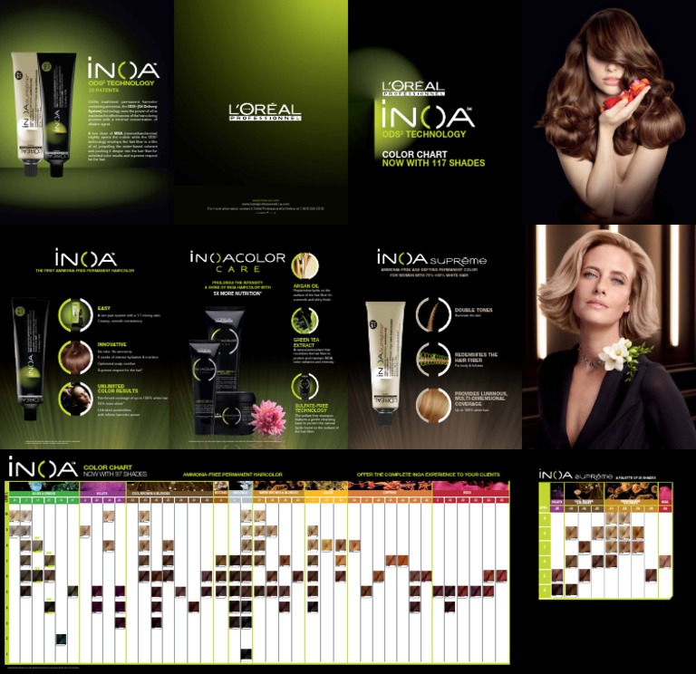 LP U1209300 Inoa 2013 Inoa Color Chart | PDF | Allergy | Nature