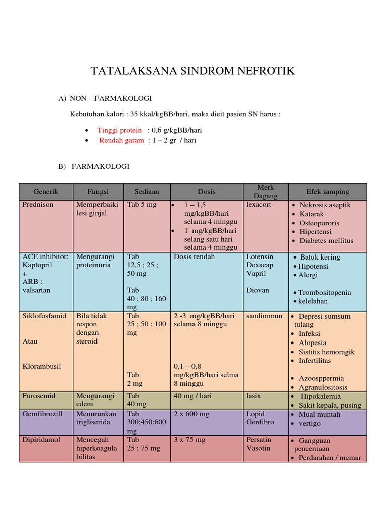Tatalaksana Sindrom Nefrotik | PDF