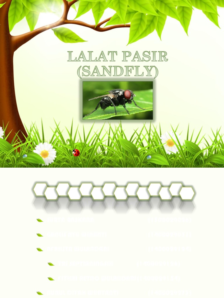 Pengendalian Vektor (Lalat Pasir) | PDF