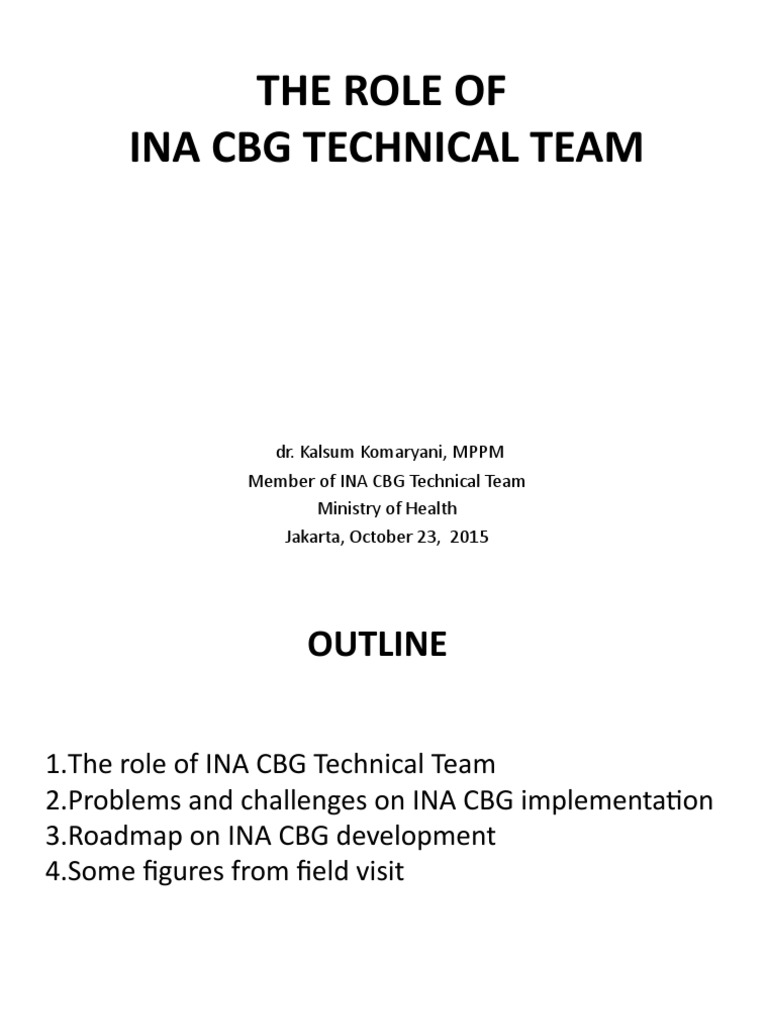 The Role of Ina CBG Technical Team | PDF | Patient | Health Economics