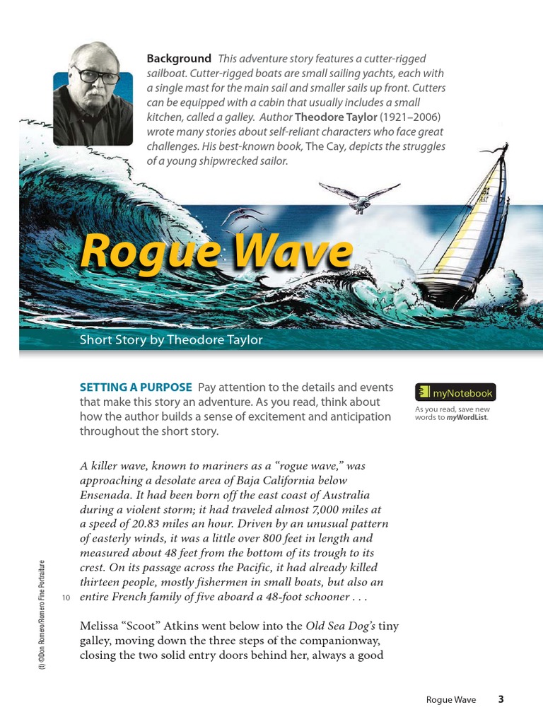 Rogue Wave | PDF | Window | Boats