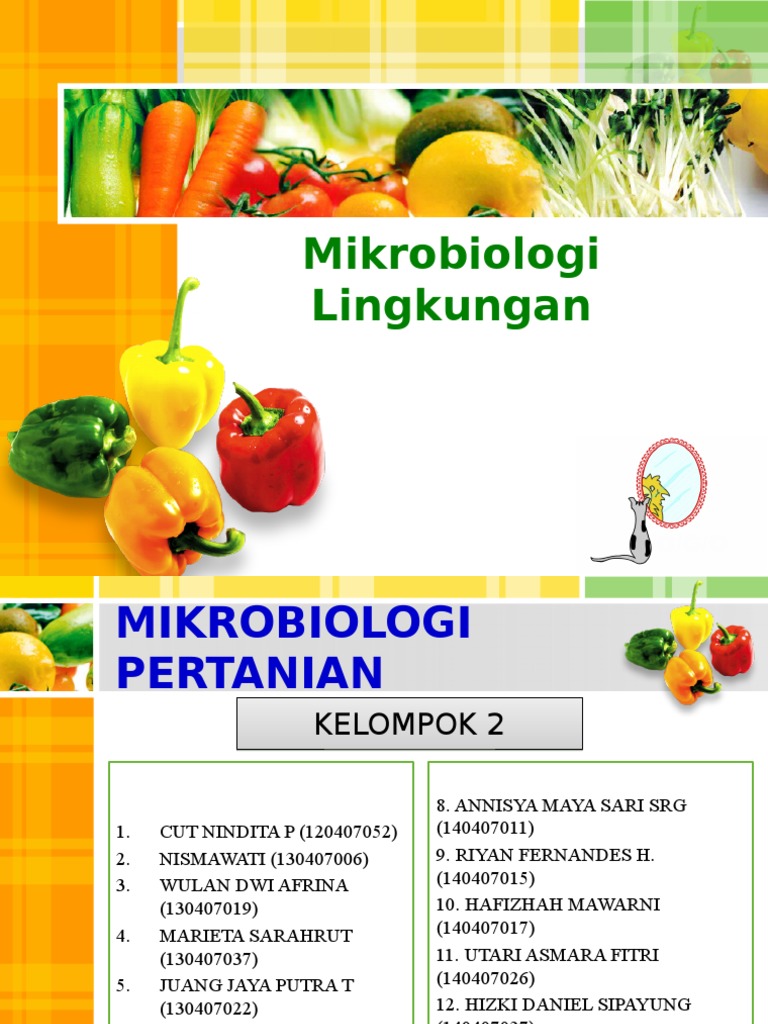Kelompok 2 Mikrobiologi Pertanian | PDF