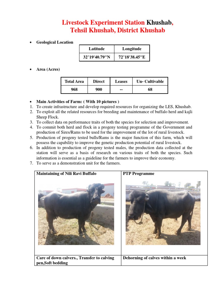 Introduction To Les Khushab Pv3zv | PDF | Wellness