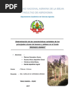 Curare Enano | PDF | Flores | Hoja