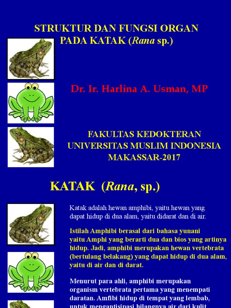 Struktur Dan Fungsi Organ Katak | PDF