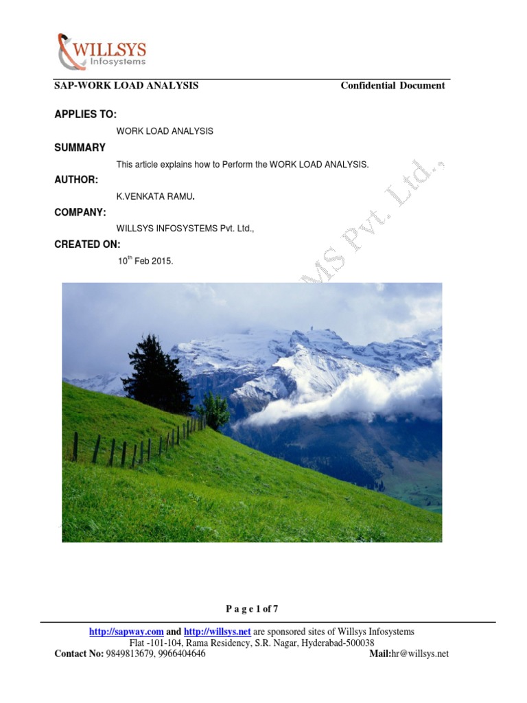 Sap-Work Load Analysis Confidential Document | PDF | Graphical User Interfaces | Databases