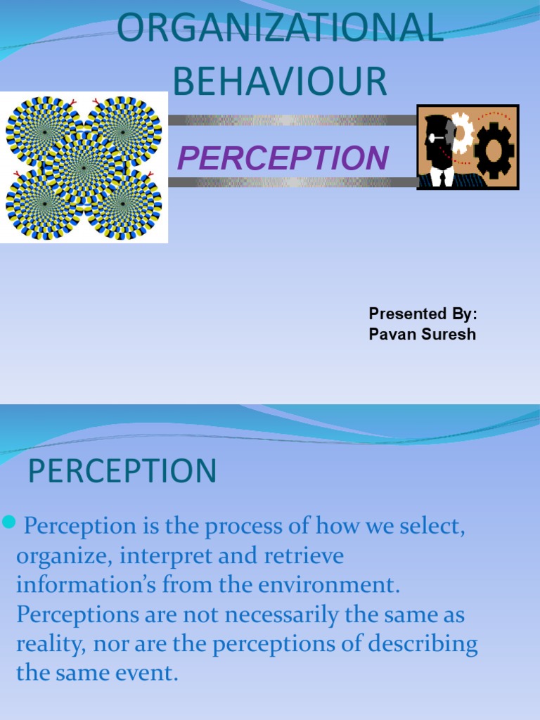 Understanding Organizational Perception | PDF | Perception | Attention