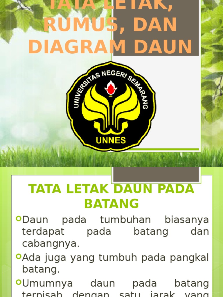TATA LETAK DAN RUMUS DAUN | PDF