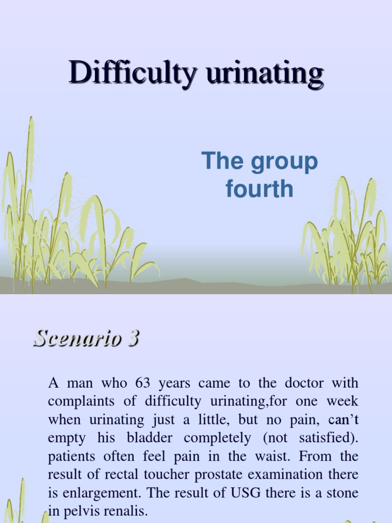 Difficulty Urinating | PDF | Kidney | Angiotensin